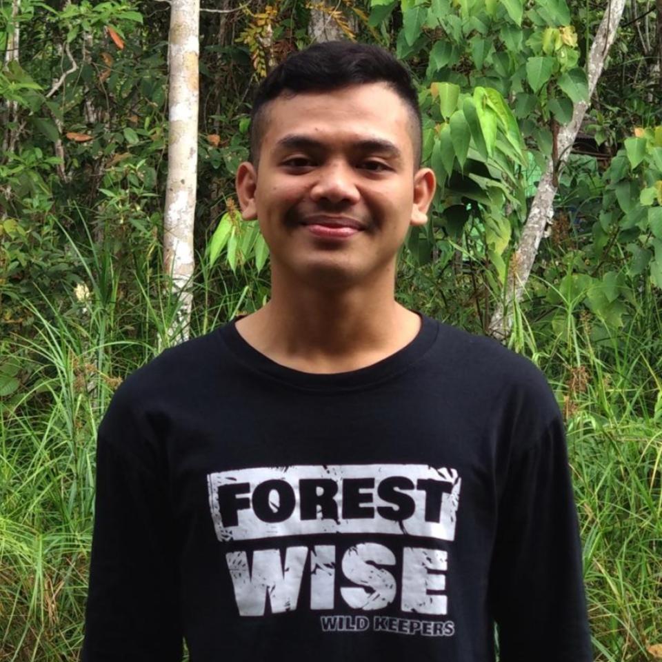 Forestwise - About us